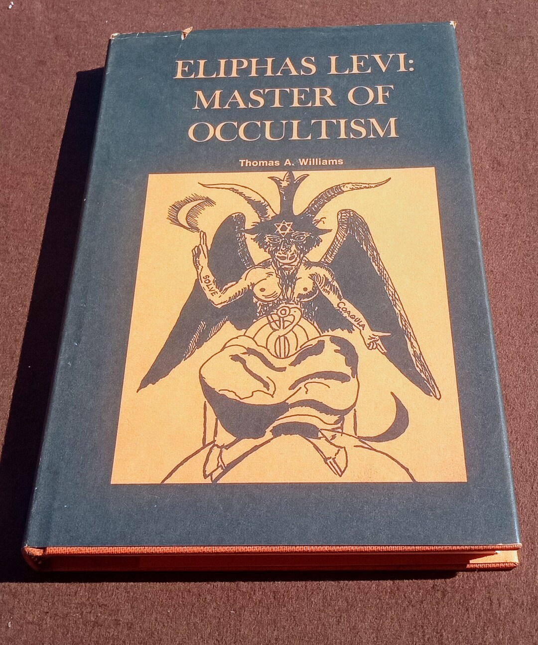 RARE Eliphas Levi Master of Occultism by Thomas Williams Good Condition ...