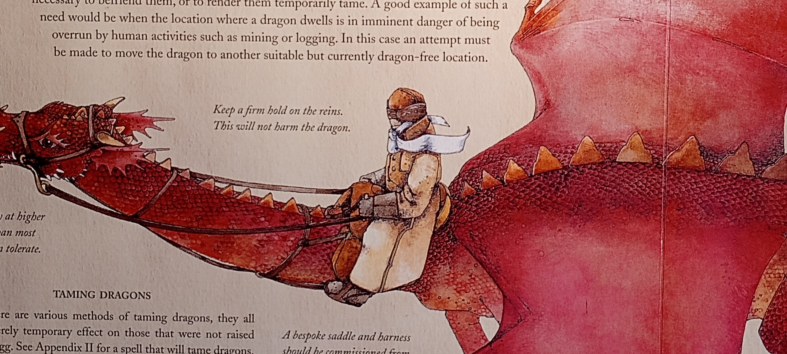 Dragonology : the Complete Book of Dragons by Ernest Drake - Etsy
