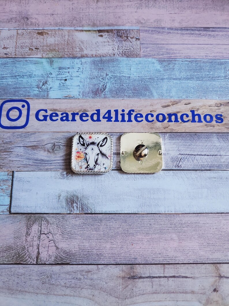 Unique Floral Mule Conchos, Custom Conchos Mule Design Tack, Unique ...
