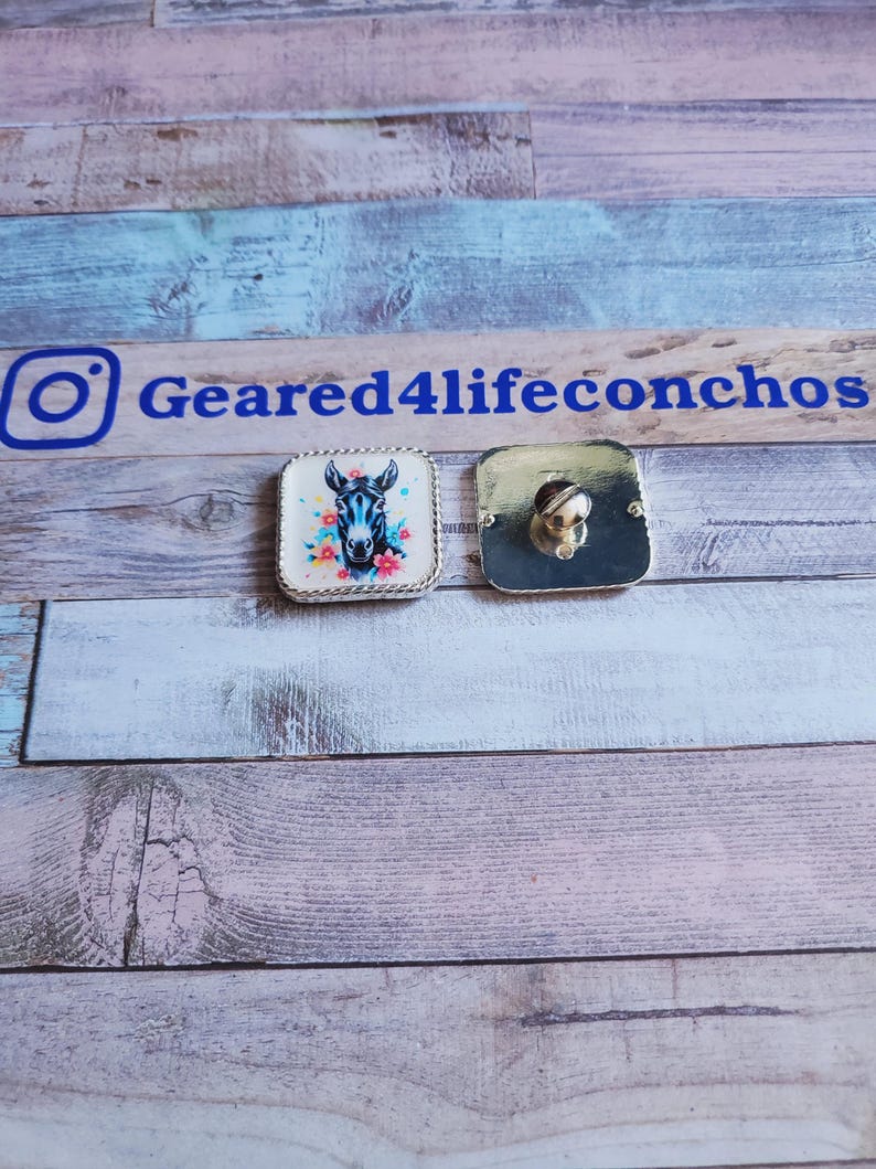 Unique Floral Mule Conchos, Custom Conchos Mule Design Tack, Unique ...