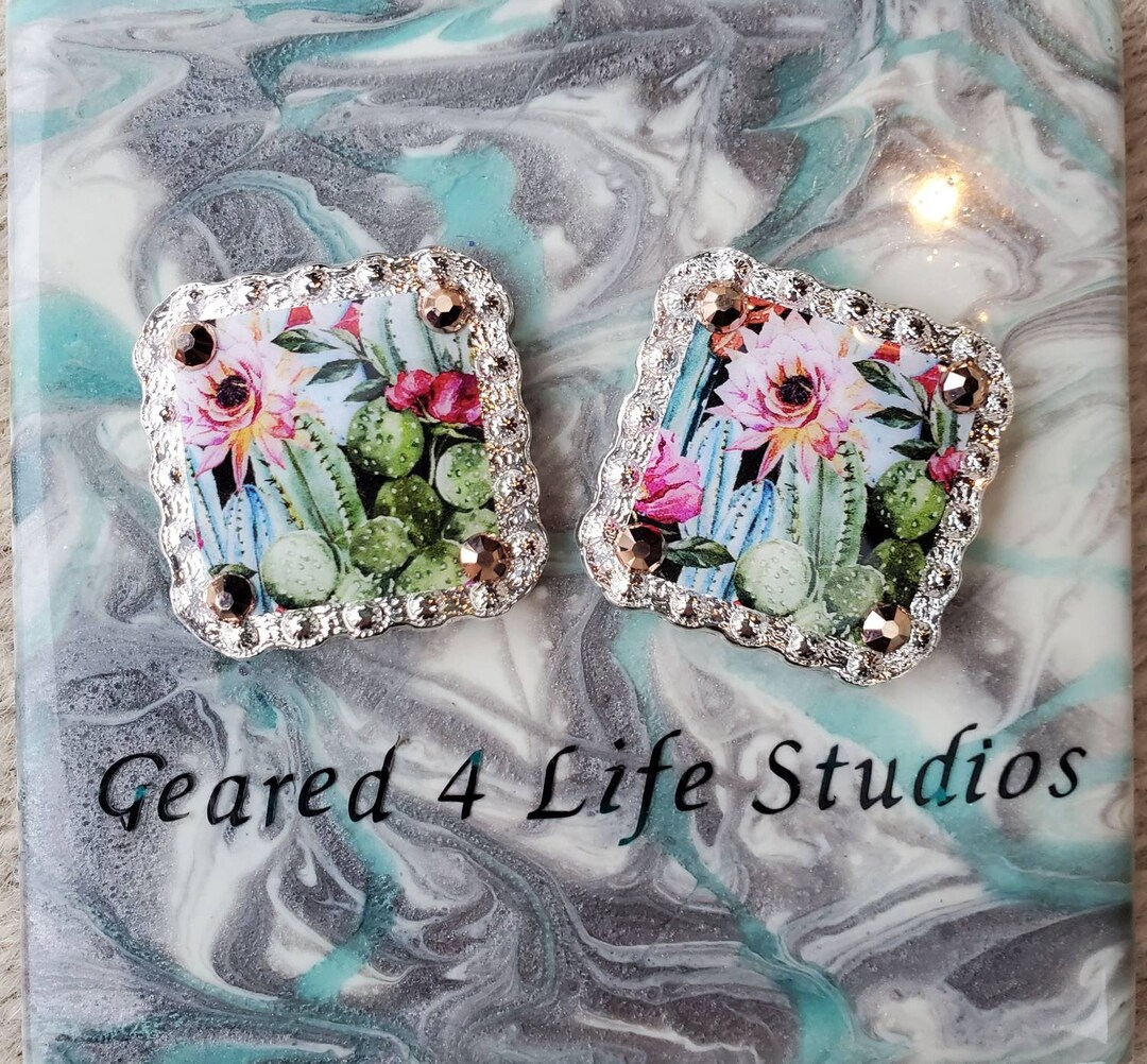 Cactus Concho, Southwestern Design, Western Bridle, Leather ...