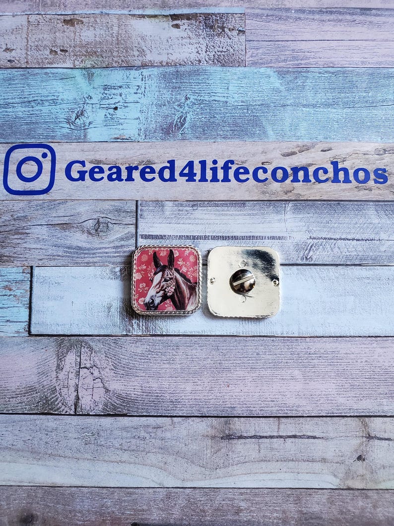 Unique Floral Mule Conchos, Custom Conchos Mule Design Tack, Unique ...