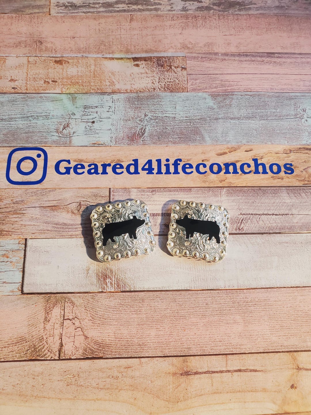 Pig lover gift, 4h conchos, ffa gift, pig showing, custom conchos ...