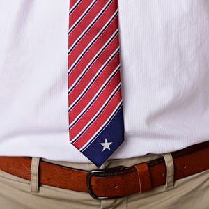 Texas Skinny Tie - 2.5” - Inspired by the Texas Flag - Texas TX Thin ...