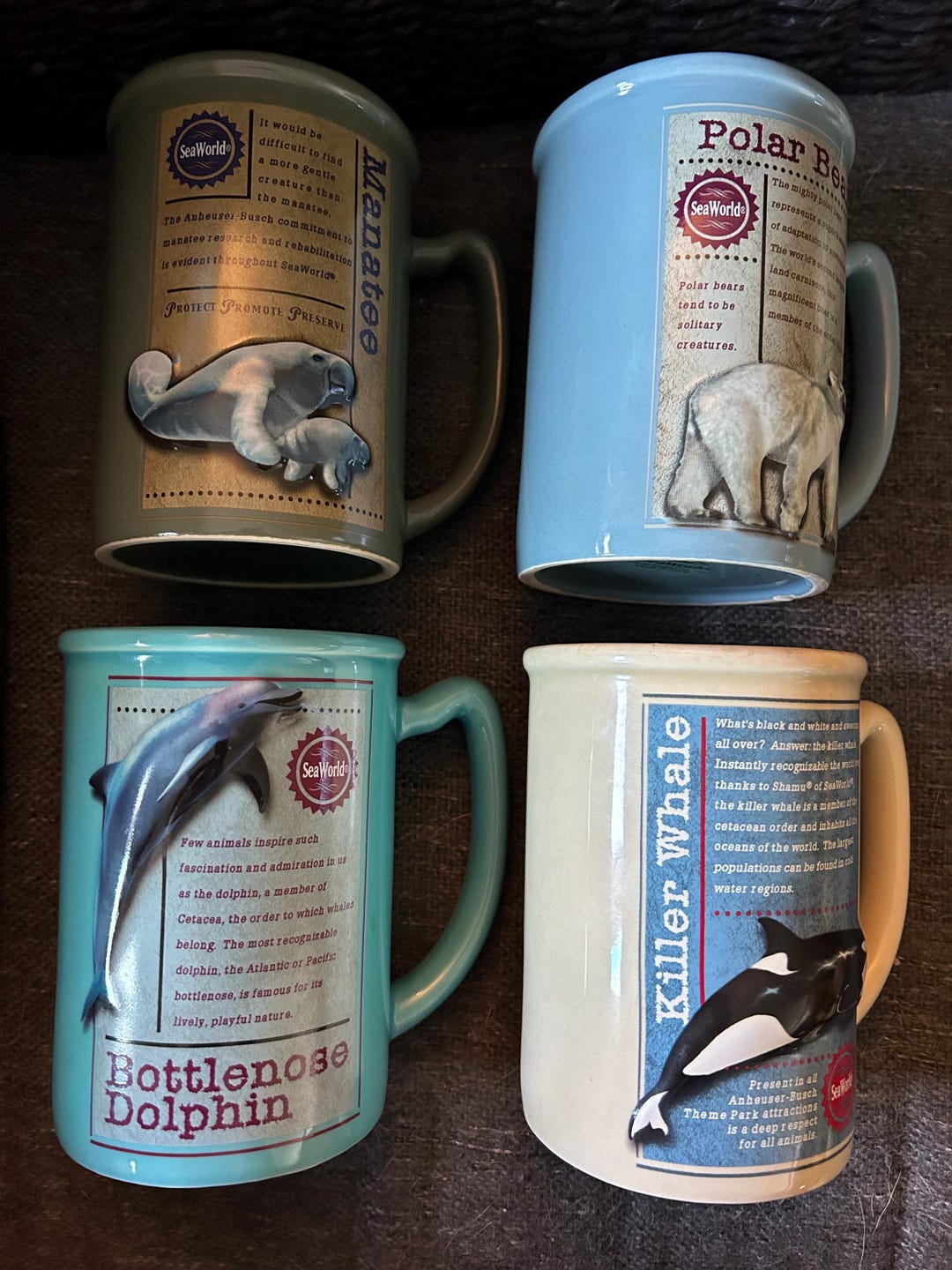 Four Seaworld Mugs, Killer Whale, Polar Bear, Manatee, Bottlenose ...