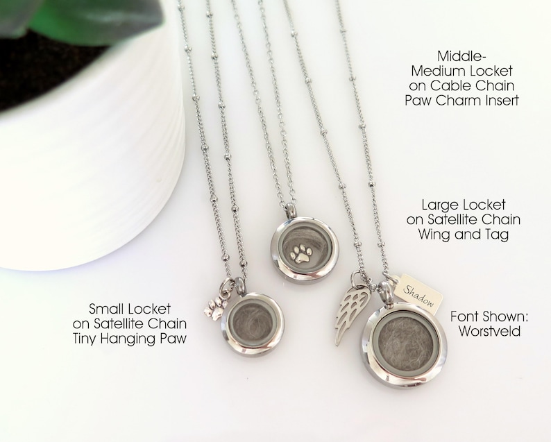 Custom Pet Hair Memorial Glass Locket, Cremation Jewelry, Dog or Cat ...