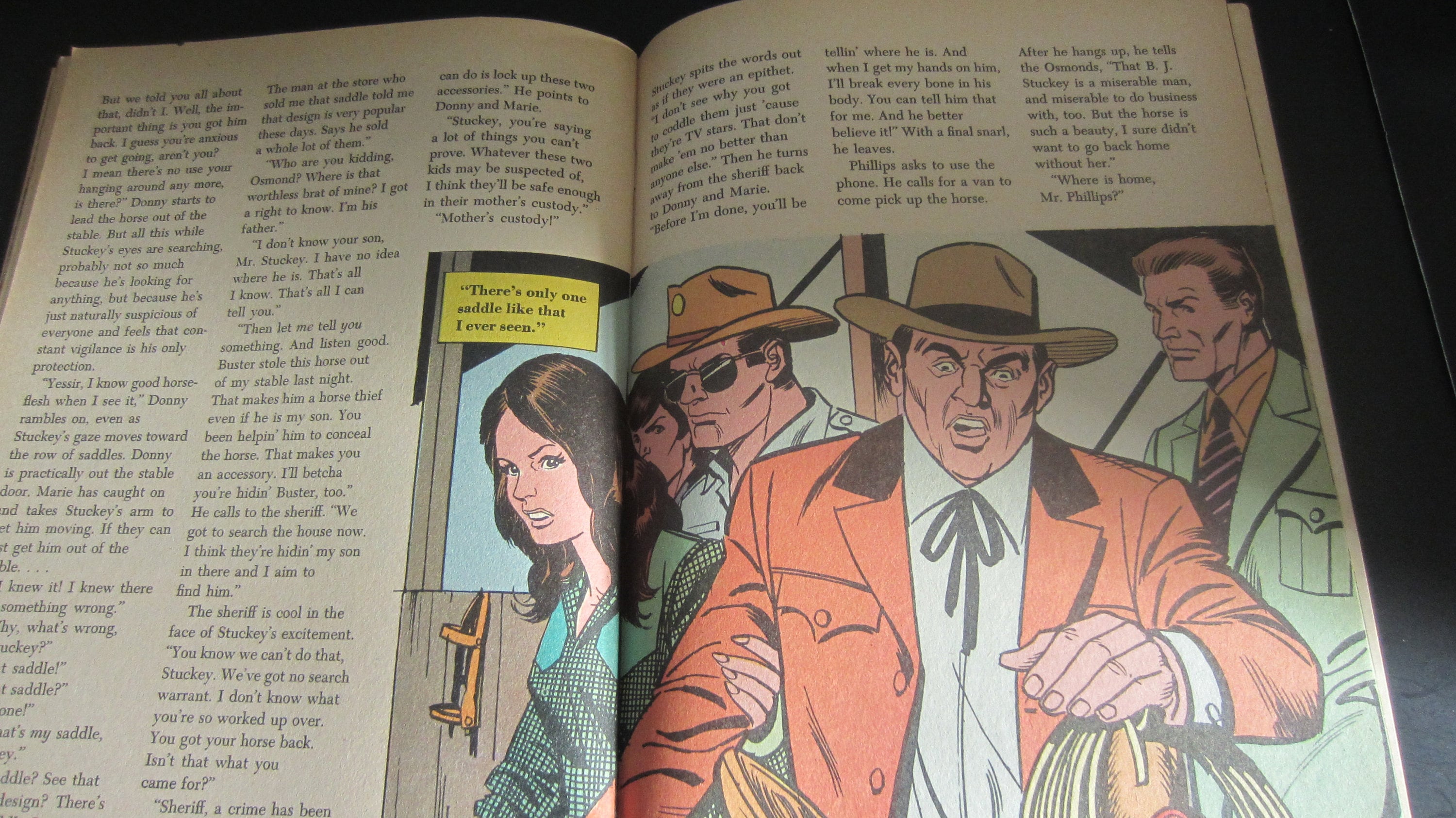 DONNY and MARIE Golden All Star Book *** Vintage Story Book 1977 ...