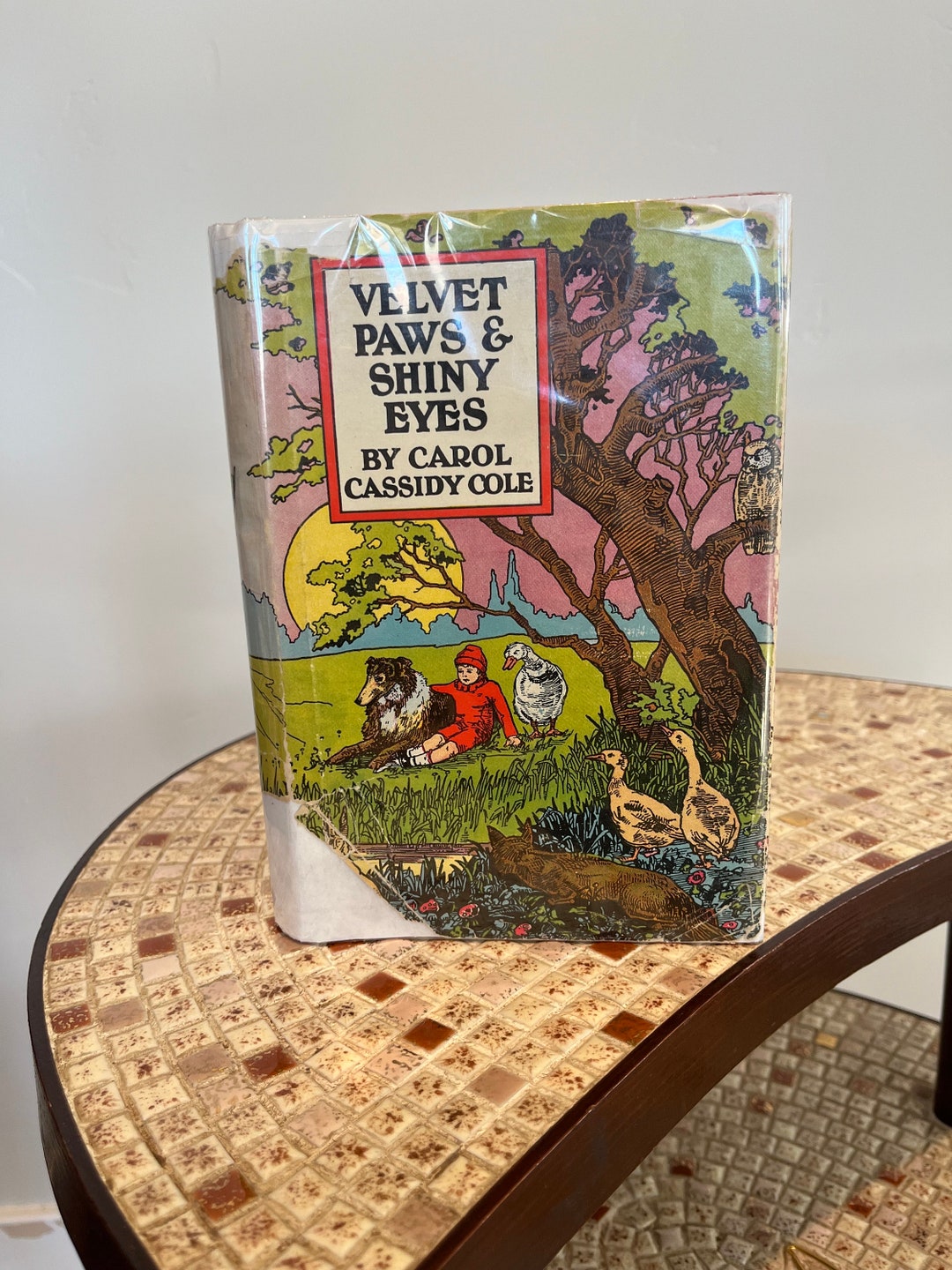 Velvet Paws and Shiny Eyes by Carol Cassidy Cole 1928 First Edition - Etsy