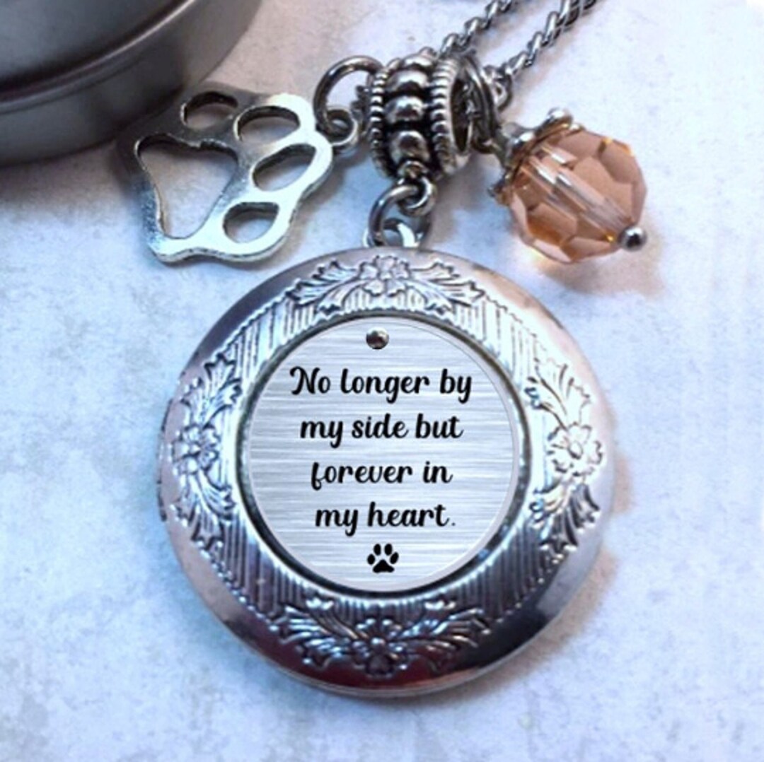 Pet Memorial Photo Locket Necklace With Birthstone Photo Locket ...