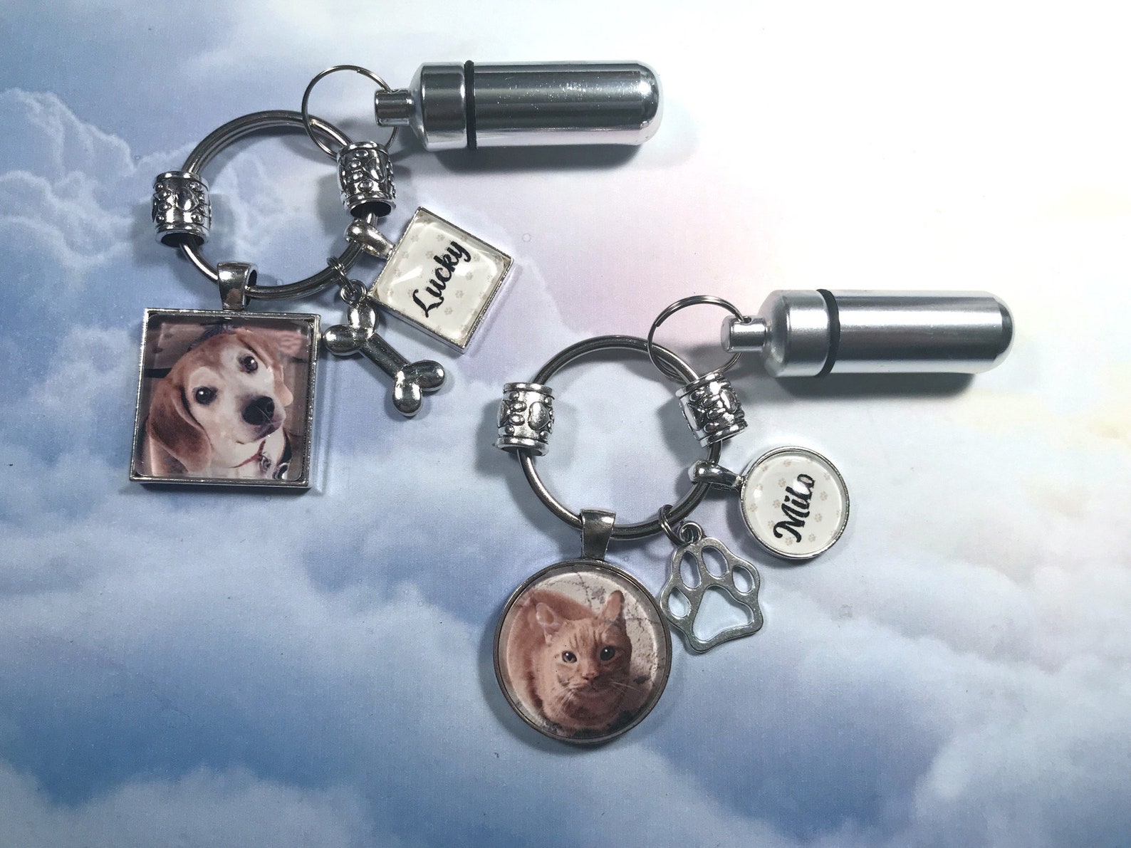 Pet Memorial Keying Pet Memorial Keychain With Custom Photo - Etsy