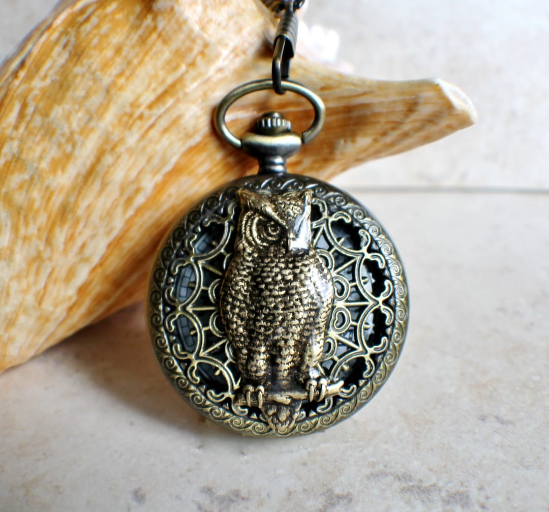 Owl Pocket Watch, Mens Mechanical Pocket Watch With Owl Mounted on ...