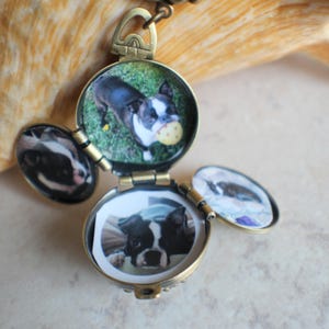 Four Photo Locket Necklace, Red Dragons Breath Photo Locket, Multi ...