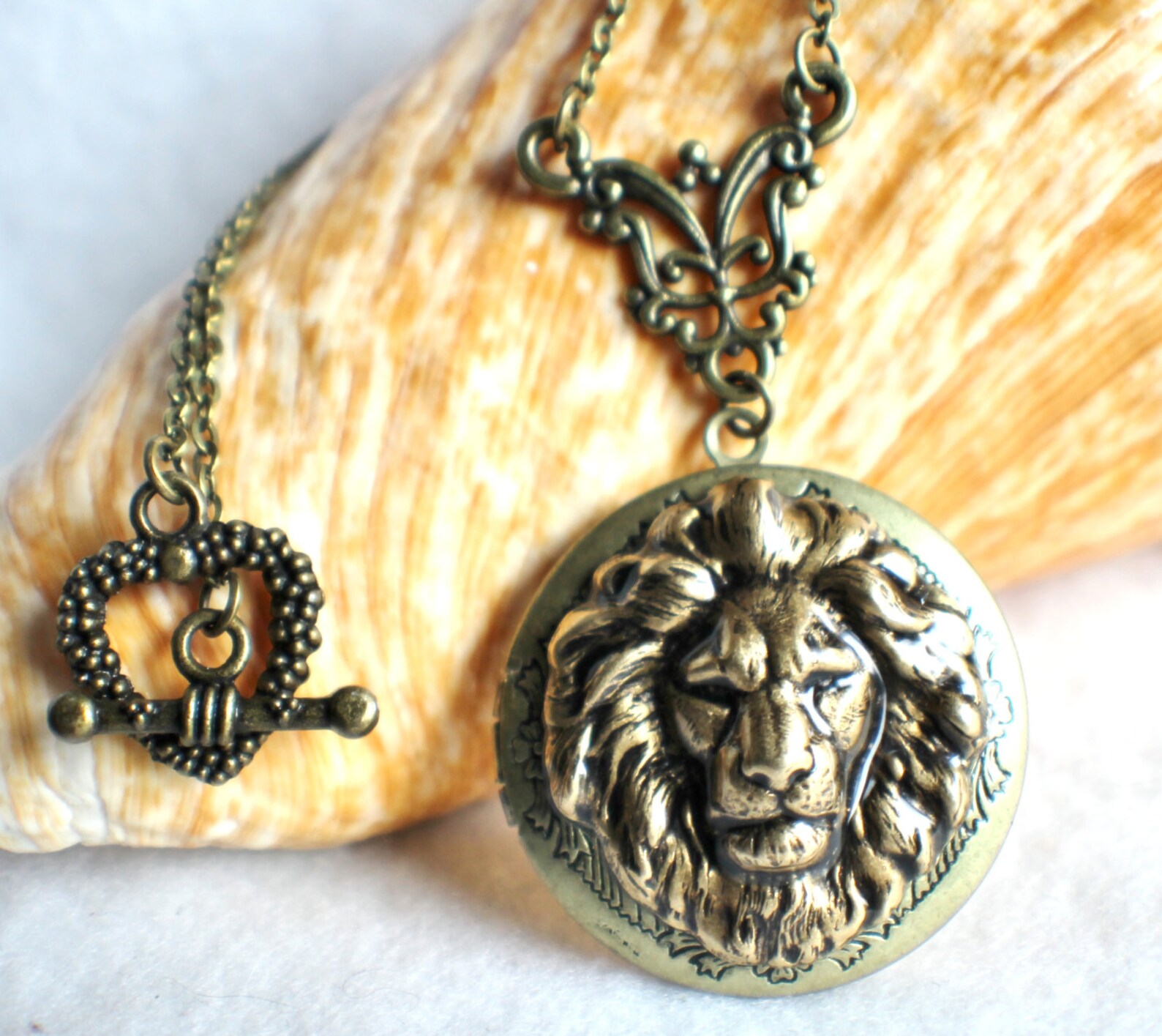 Bronze Lion Locket Small Photo Locket Photo Locket Necklace - Etsy