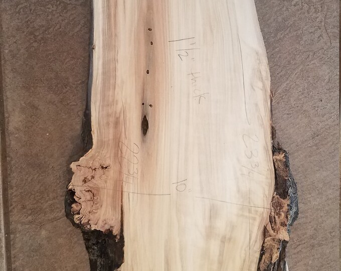 Aspen Slab #104 - Etsy