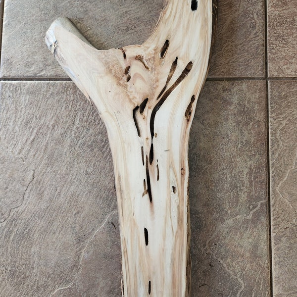 Tree Slab - Etsy