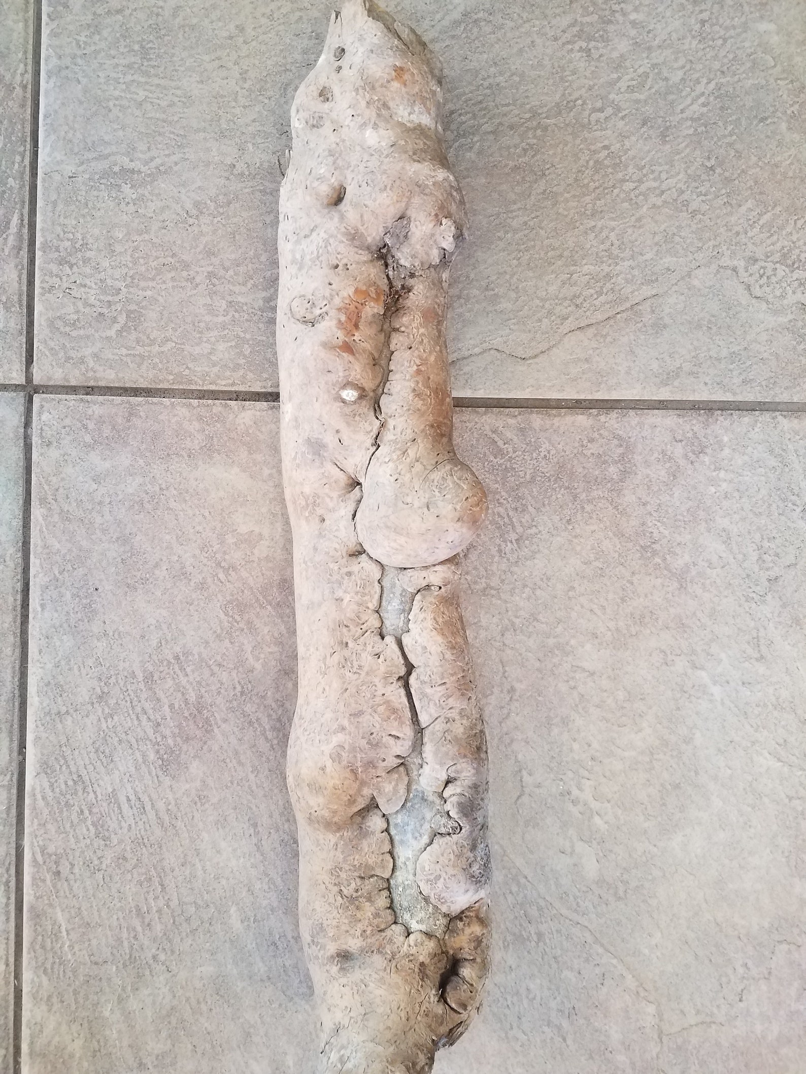 Unique Pine Log #43 - Etsy