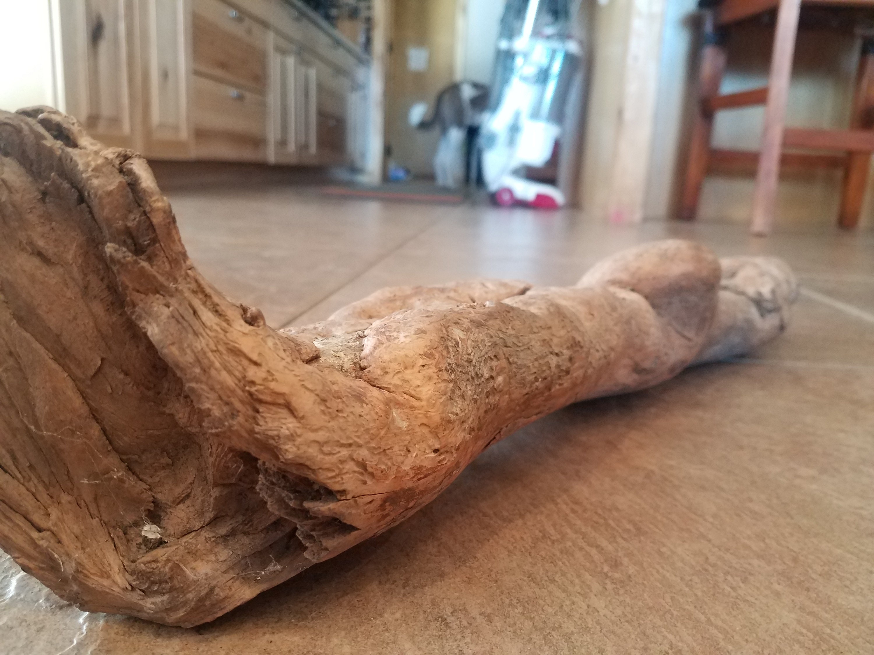 Unique Pine Log #43 - Etsy