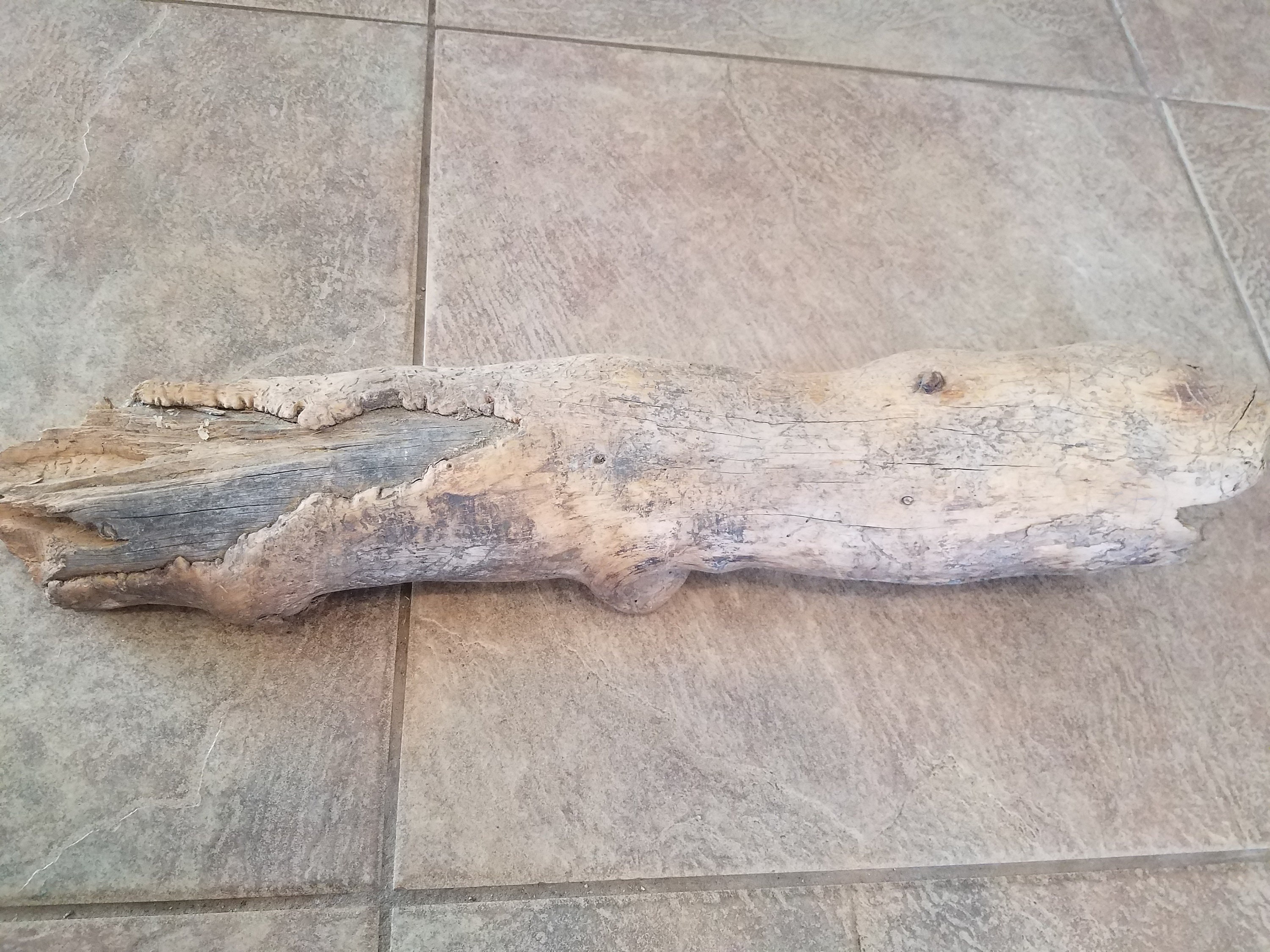 Unique Pine Log #43 - Etsy