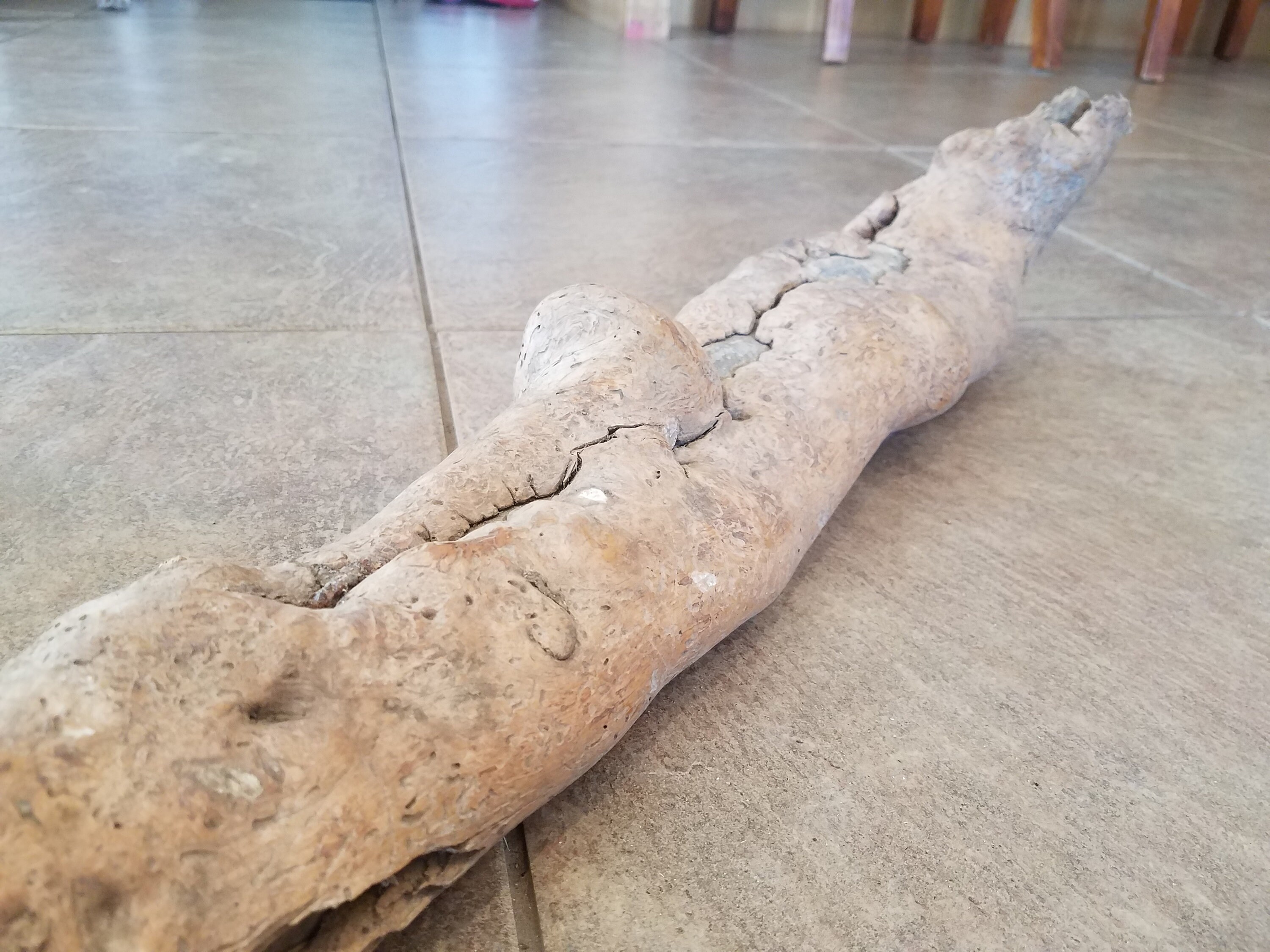 Unique Pine Log #43 - Etsy