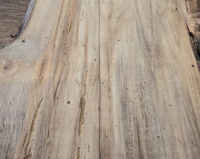 Aspen Slab #104 - Etsy