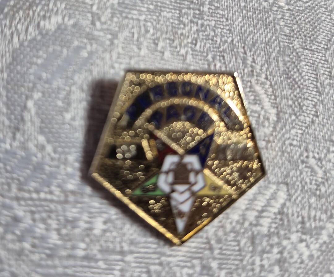 Vintage Order of Eastern Star Pin - Etsy