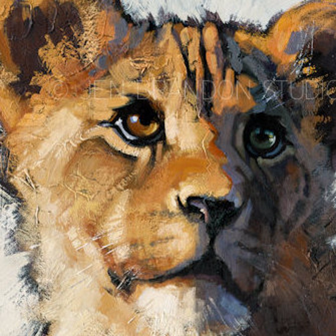 Lion Cub Art Fine Art Print - Etsy