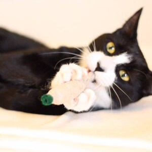 Cat Toys - Felt Catnip Joints - Set of 3 - Available in Catnip ...