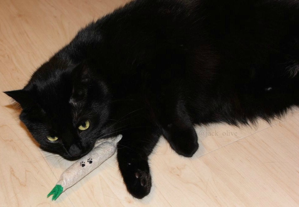 Cat Toys Felt Catnip Joints Set of 3 Available in - Etsy