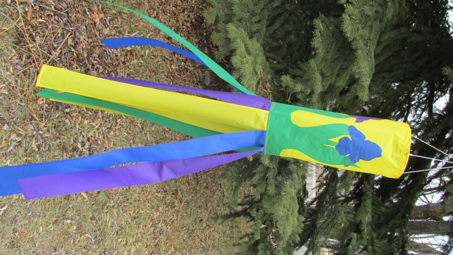 Iris and Dragonfly Windsock 6 Ft Ripstop Nylon Spinnaker Cloth | Etsy