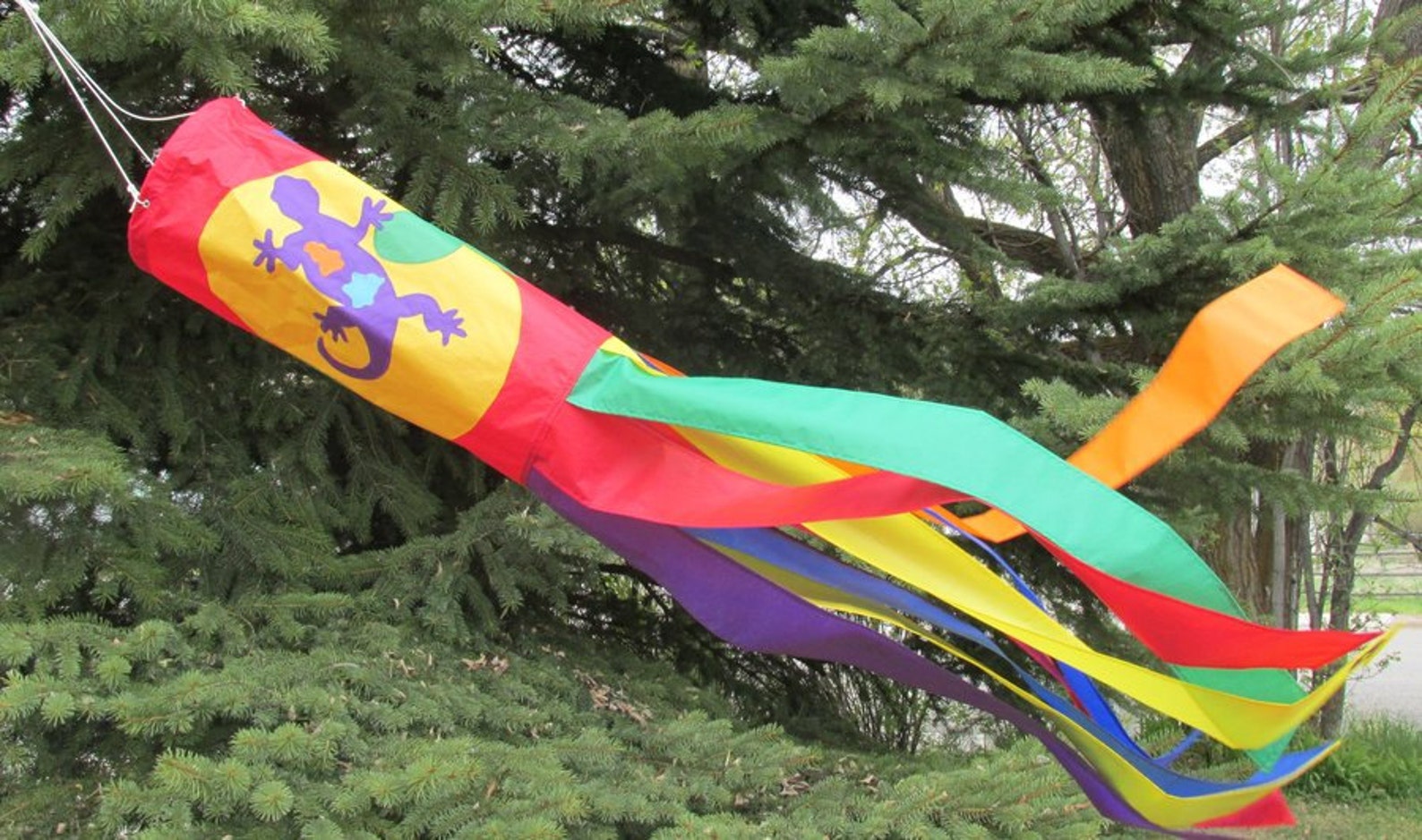 Cactus and Gekko Windsock 6 Ft Ripstop Nylon Spinnaker Cloth - Etsy