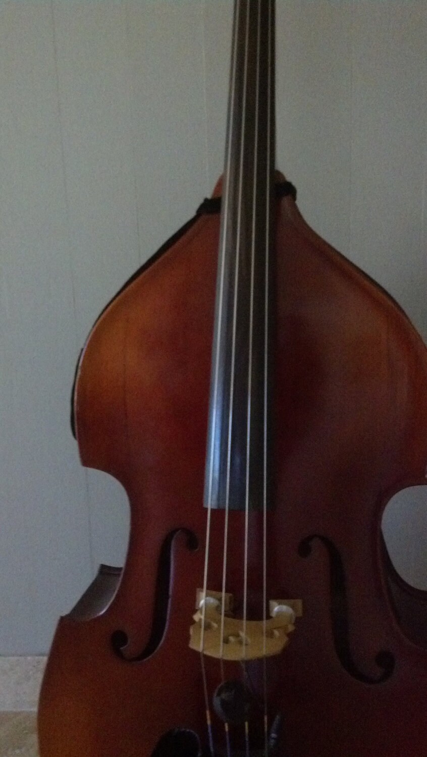 Bass Bib in Elegant Black Velvet With Handy Pocket | Etsy