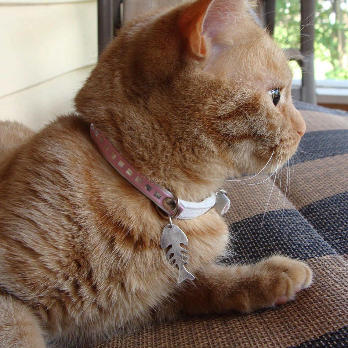 Fish Sterling Silver Medallion for You Cat Cat ID Cat Medal - Etsy