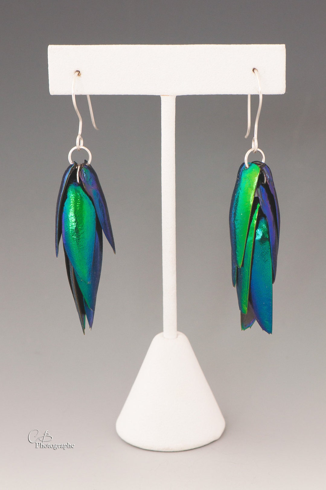 Sterling Silver and Insect Wings Cluster Earrings, Beetle Wing Earrings ...