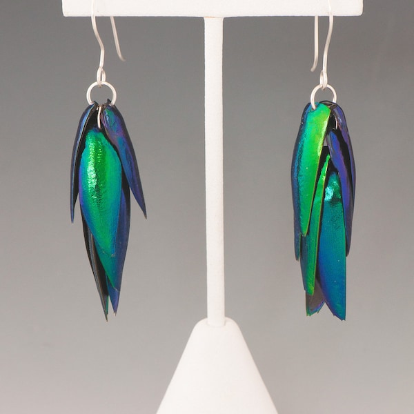 Beetle Earrings - Etsy