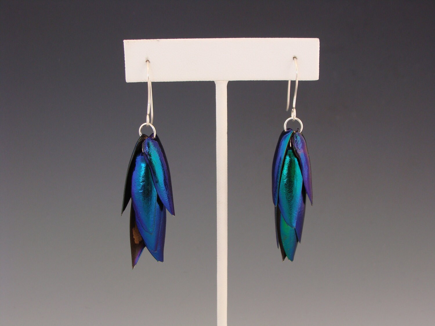 Sterling Silver and Insect Wings Cluster Earrings, Beetle Wing Earrings ...