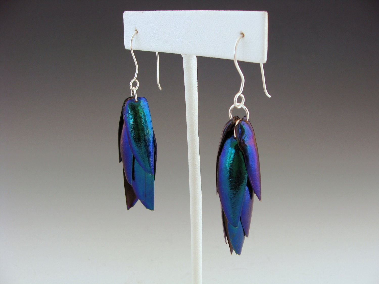 Sterling Silver and Insect Wings Cluster Earrings, Beetle Wing Earrings ...