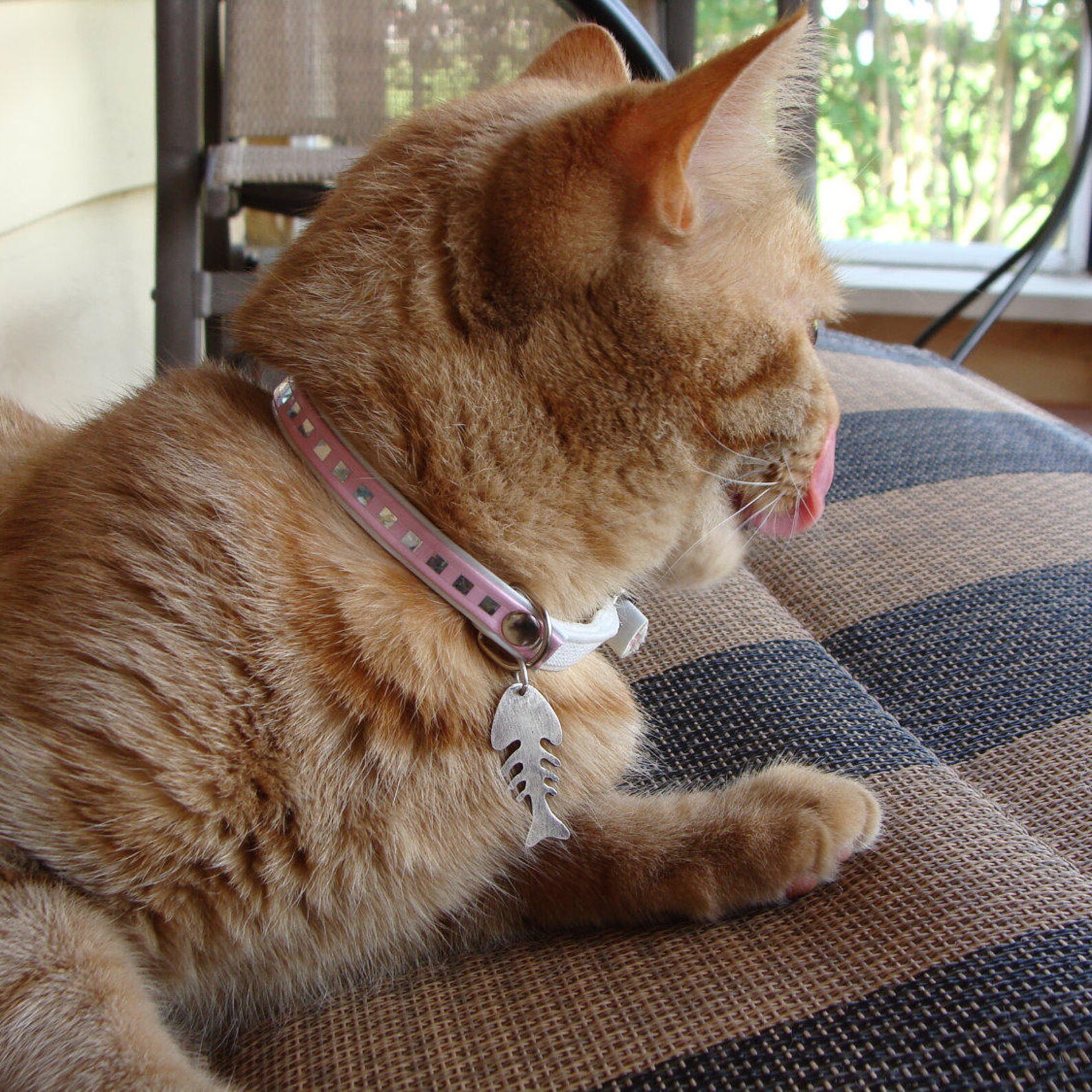 Fish Sterling Silver Medallion for You Cat, Cat ID, Cat Medal, Silver ...