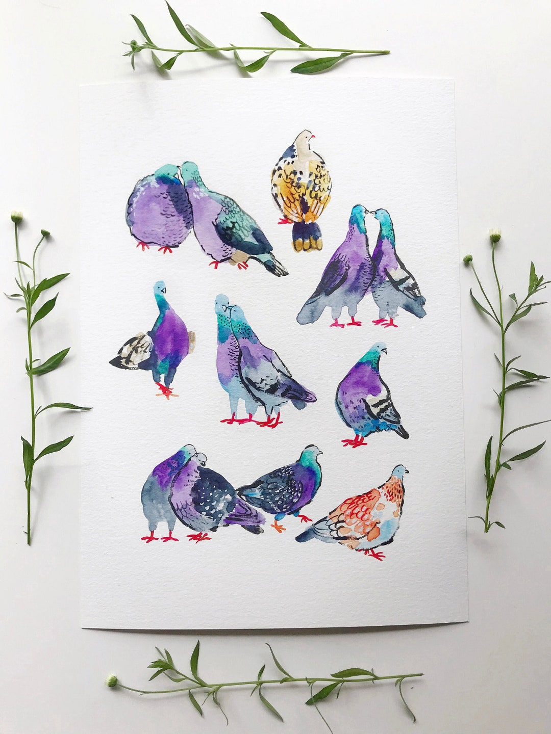 Pigeons Art Print, Pigeons Illustration, Pigeons Studies, Pigeon ...