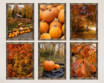 Fall Print Set of 6 Autumn Nature Printable Art Pumpkins - Etsy