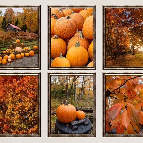 25 Prints Fall Wall Art Autumn Gallery Wall Set Fall Nature - Etsy