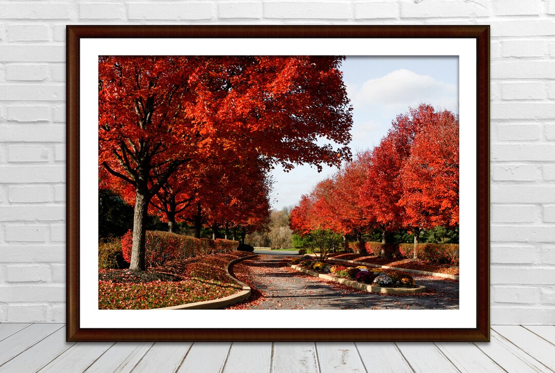 Fall Wall Art, Landscape Print, Autumn Tree Print, Red Foliage, Nature ...