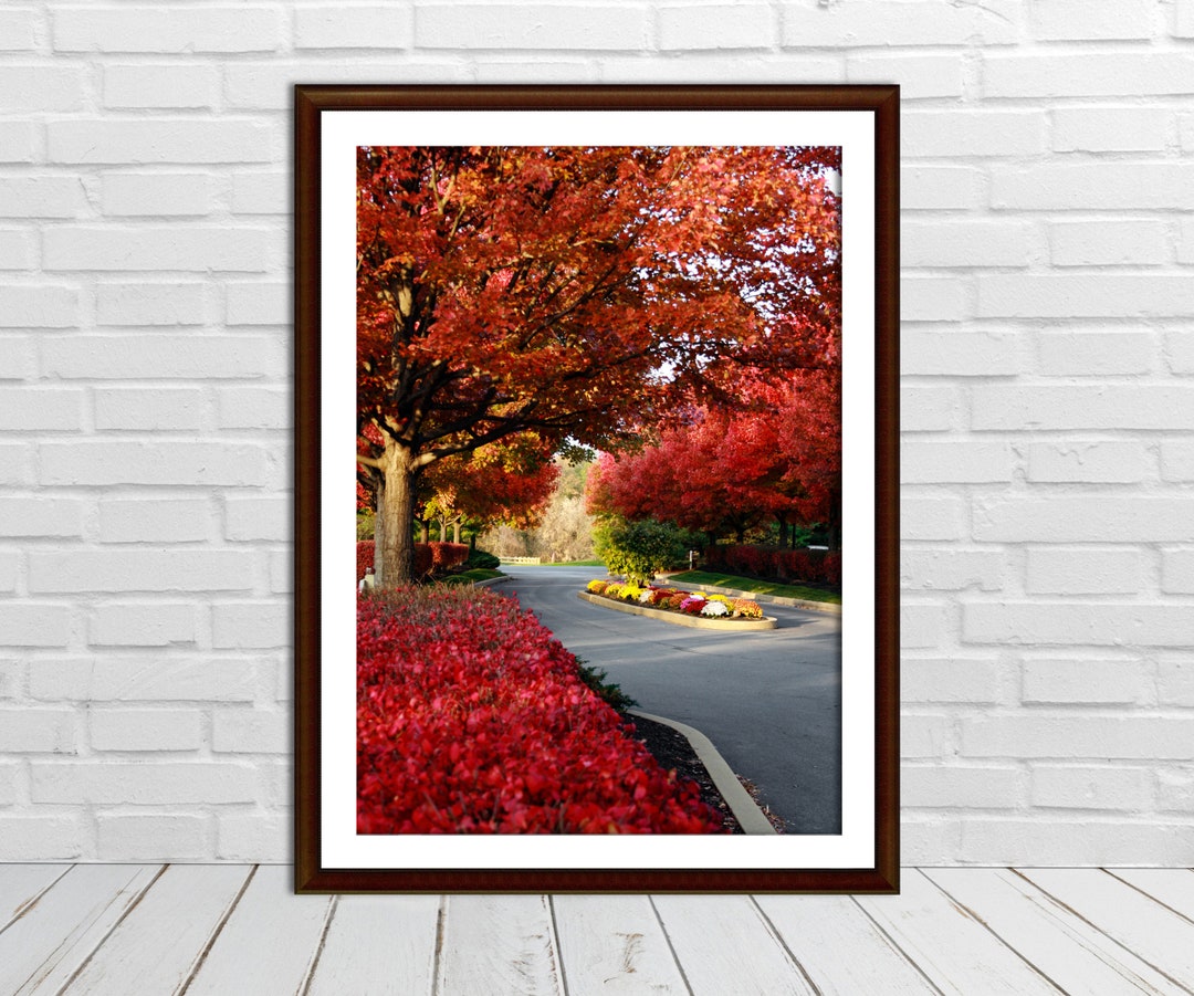 Fall Wall Art, Landscape Print, Autumn Tree Print, Red Foliage, Nature ...