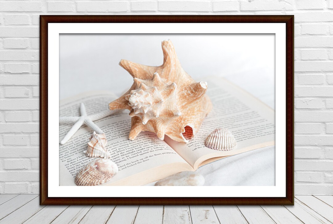 Seashell Still Life Photography Print Digital Printable Fine Art ...