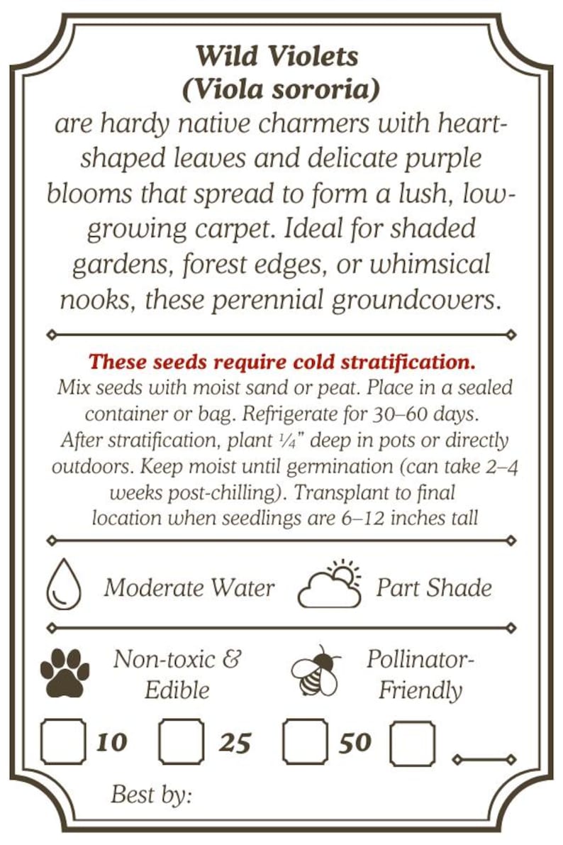 Wholesale-friendly Wild Violet Seed Packs: Viola Sororia (woolly Violet ...