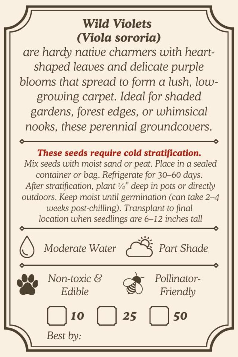 Wild Violet Seeds: Viola Sororia (woolly Violet) - Edible Perennial ...