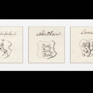 Hand Drawn Family Crest From the 1700's -A Black & Yellow Design - Etsy