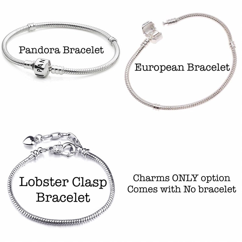 Pandora St Louis Charm | semashow.com