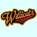 Wildcats Word APPLIQUE Embroidery Design INSTANT DOWNLOAD - Etsy