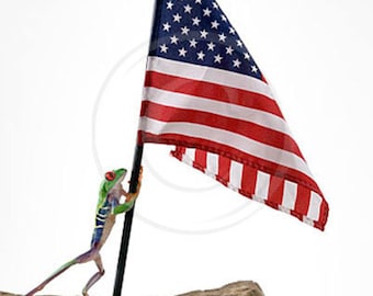 American Flag Frog | Etsy