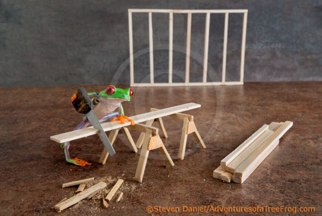 Carpenter Frog Doing Construction House Building Wood Working - Etsy